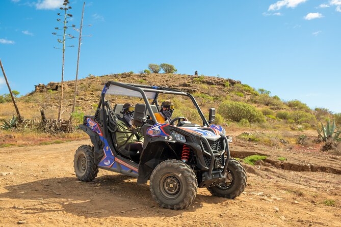 Buggy Safary in Gran Canaria South for 2 persons - Who Will Enjoy This Tour?