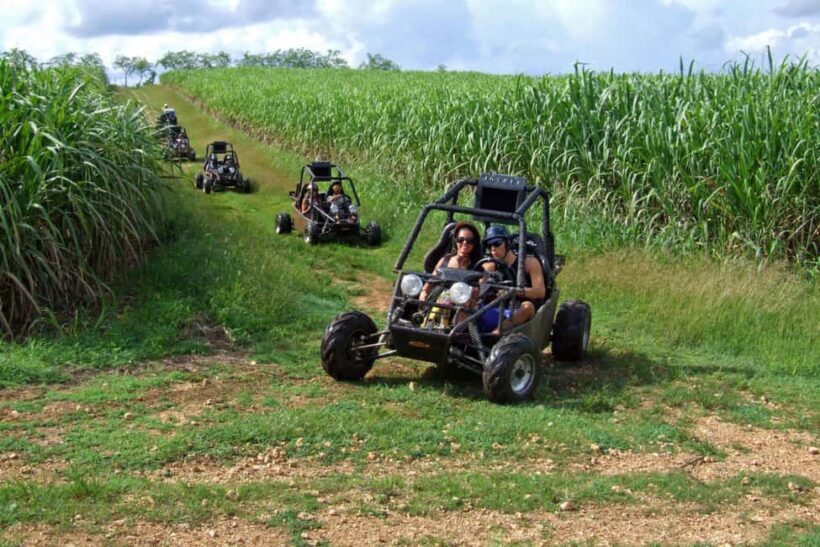Buggy sunset - Full day - Small group - A Closer Look at the Full-Day Dominican Adventure
