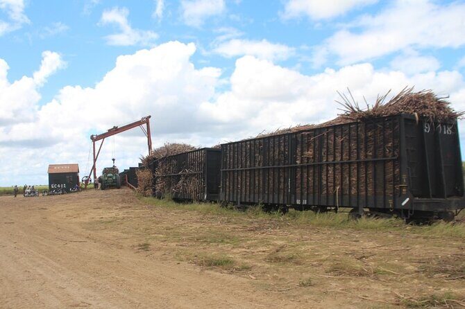 Buggy Sunset - Full day tour with diner on the river- small group - The Sum Up: Is It Worth It?