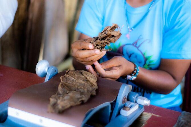 Buggy tour 3 hours in Puerto Plata - FAQ