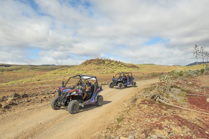 Buggy tour at Anfi beach - The Sum Up: a fun, scenic, and safe adventure