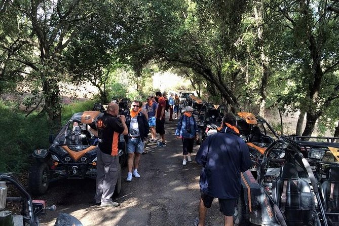 Buggy tour: East area of Mallorca - Who Should Consider This Tour?