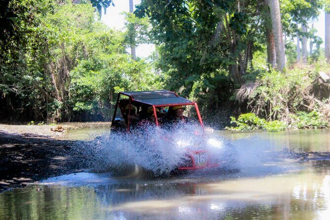 Buggy Tour Excursion in Taino Bay and Amber Cove Port - Key Points