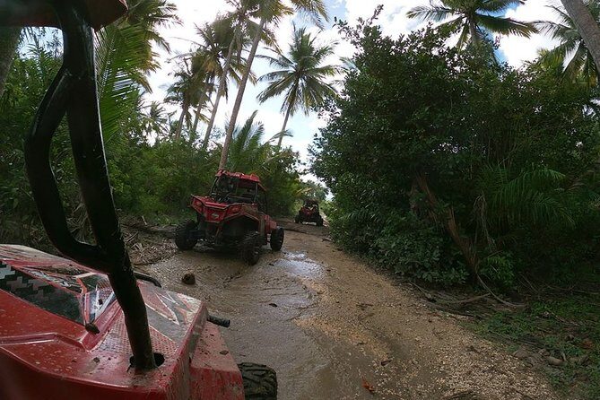Buggy Tour from Sosua - Key Points