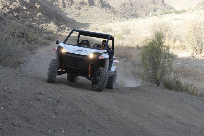 Buggy Tour Gran Canaria - What the Reviews Say