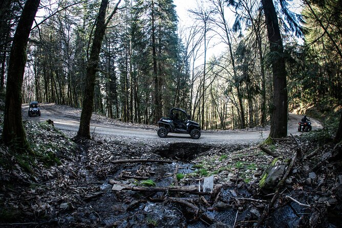 Buggy Tour in Serra da Lousã 2Hours - The Sum Up