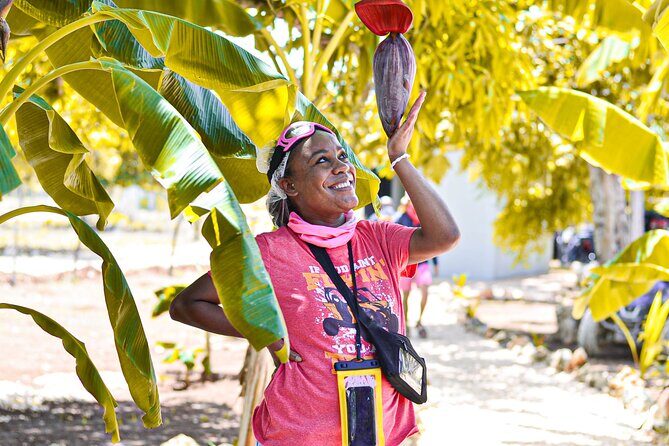 Buggy Tour Punta Cana: MagicalCaves ,Dream Beaches & Culture - The Final Stop: Macao Beach’s White Sand and Surf