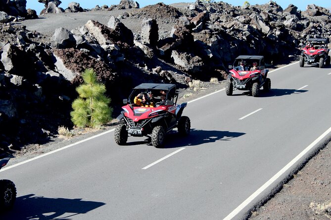 Buggy Tour to Teide in Tenerife - Traveler Feedback