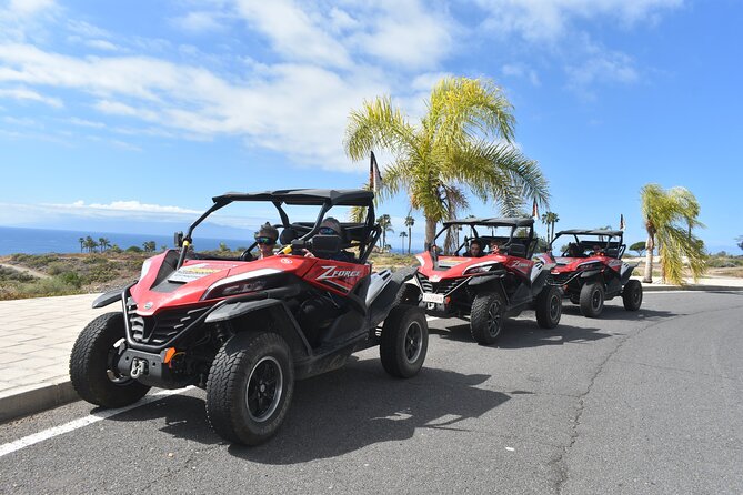 Buggy Tour to Teide in Tenerife - Recommended for Whom