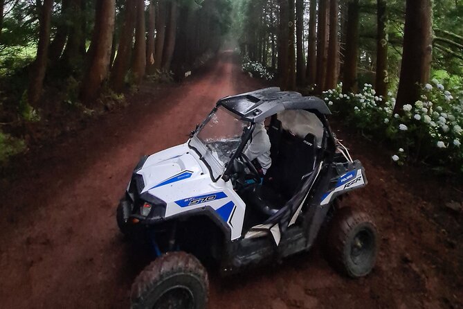 BUGGY TOUR - West / Center of the Island (Off-Road) - Accessibility and Cancellation Policy