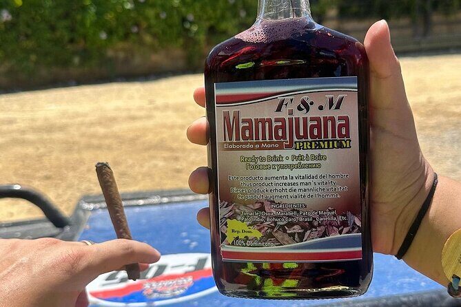 Buggy Tour with Organic Farm, Macao Beach Visit from Punta Cana - An Authentic Punta Cana Adventure Experience