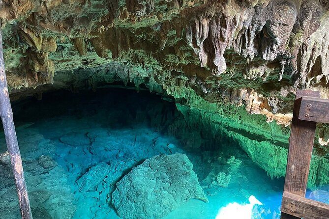 Buggy Tour with Organic Farm, Macao Beach Visit from Punta Cana - The Sum Up