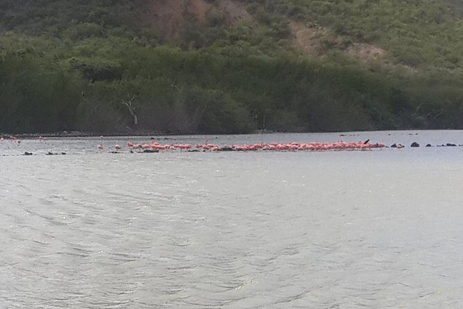 Buggy Tours in Curacao - FAQ