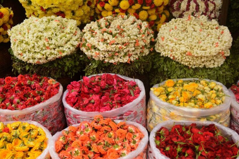 Build Your Own: Customizable Private Tour of Kolkata - Exploring Kolkata Your Way: A Deep Dive into the Build Your Own Private Tour
