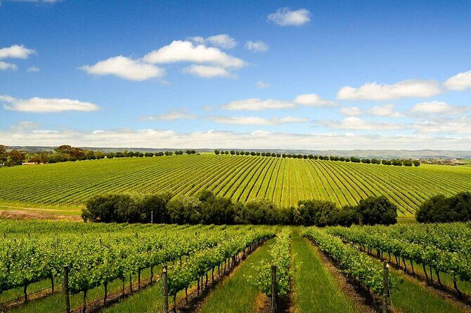 Build your own Unique Private Winery/Brewery Tour at the Margaret River region - Exploring the Private Winery and Brewery Tour in Margaret River