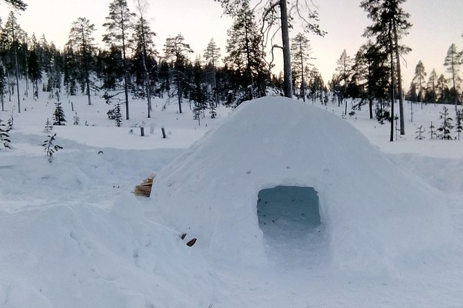 Building a Snow Igloo in Rovaniemi - Key Points