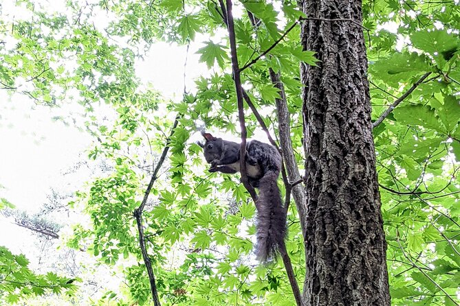 Bukhansan National Park: The Summit Course - FAQ