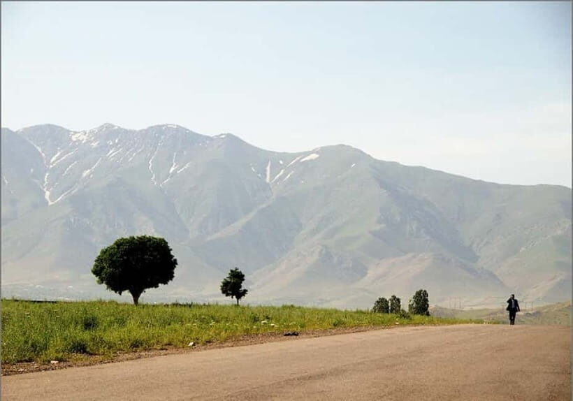 Bukhara-Shakhrisabz-Samarkand One Day Trip - The Itinerary in Detail