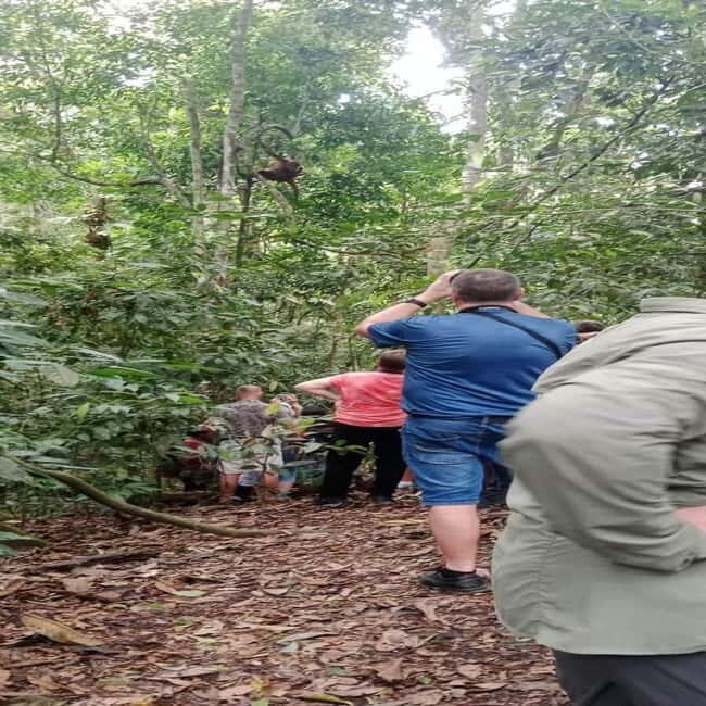 Bukit Lawang: 3-Day Wonderful Jungle Trek with Hostel - FAQ