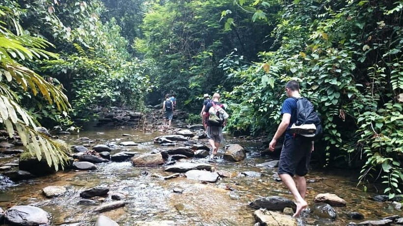 Bukit Lawang: Full Day Jungle Trek with Orangutan Spotting - What Travelers Say