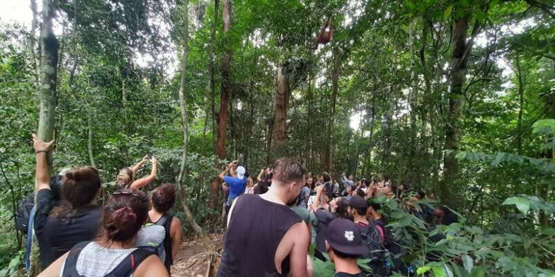 Bukit Lawang: Jungle Trekking and Rafting Day Trip - Is This Tour Right for You?