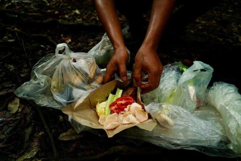 Bukit Lawang: Orangutan Jungle Trekking Tour & Homestay SAMA - Final Thoughts