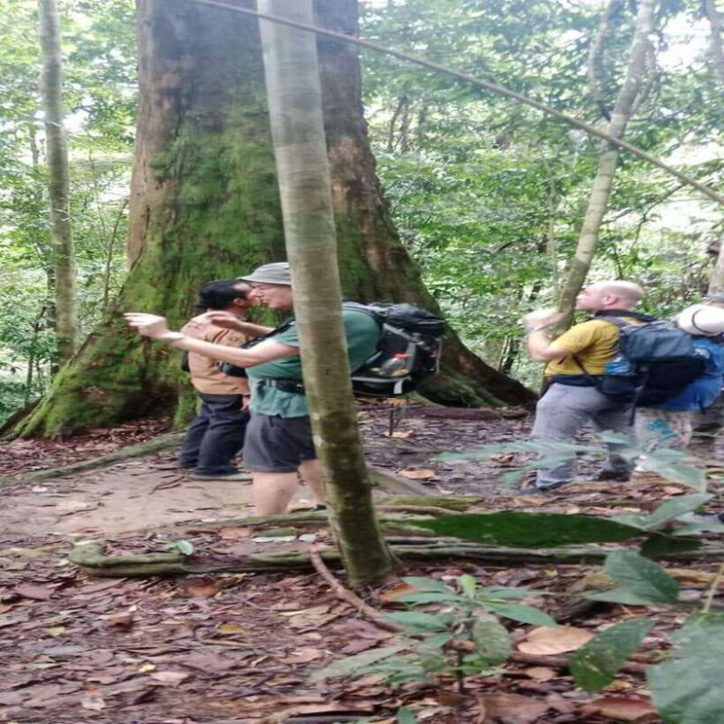 Bukit Lawang: Orangutan Tour & Wonderful Jungle View - The Practicalities: Transportation, Cost, and Group Size