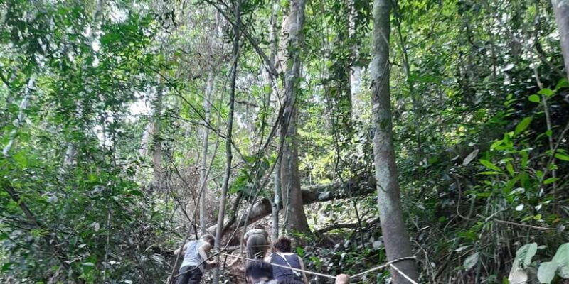 Bukitlawang Orangutan : 3 Days Group Jungle Trek - Who Should Consider This Tour?