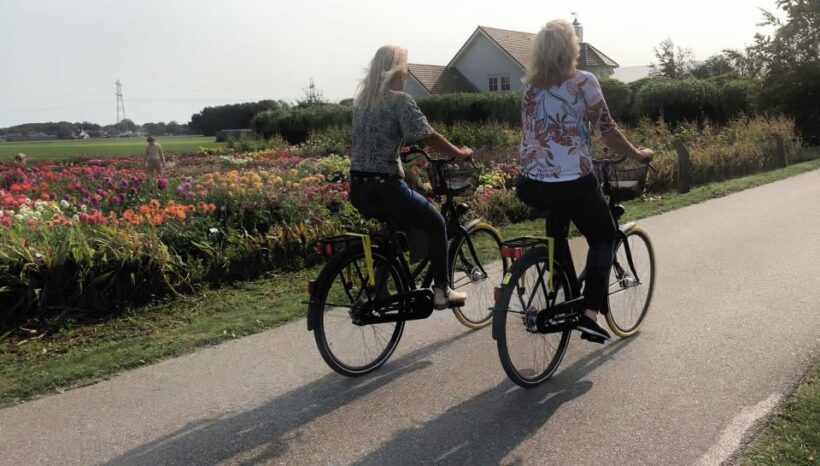 Bulb region: Dahlias Bicycle Tour - Final Thoughts