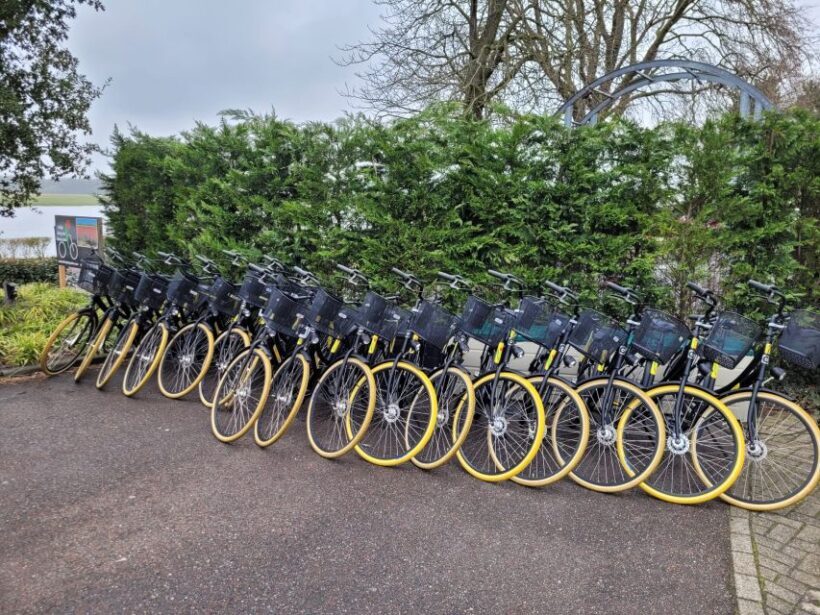 Bulb region: Dahlias Bicycle Tour - Frequently Asked Questions (FAQs)