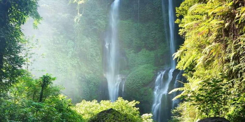Buleleng Hidden Gems: Waterfall Tour - Who Will Love This Tour?