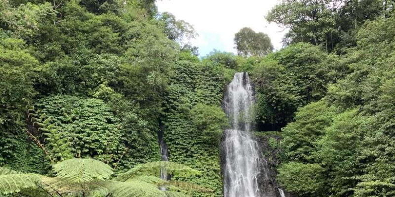 Buleleng Hidden Gems: Waterfall Tour - Final Thoughts