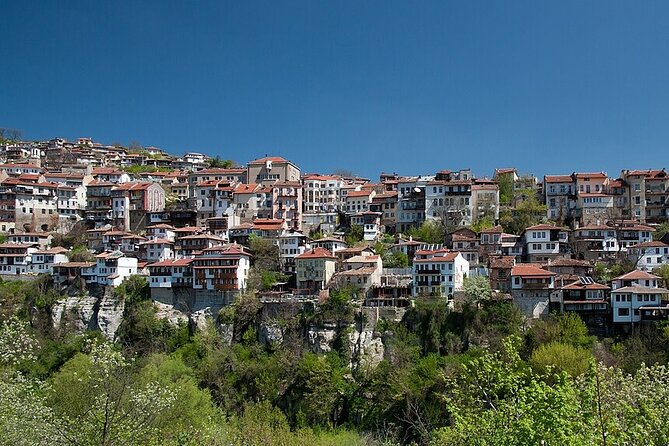 Bulgaria Private Tour from Bucharest, Veliko Tarnovo Medieval - The Perks and Considerations