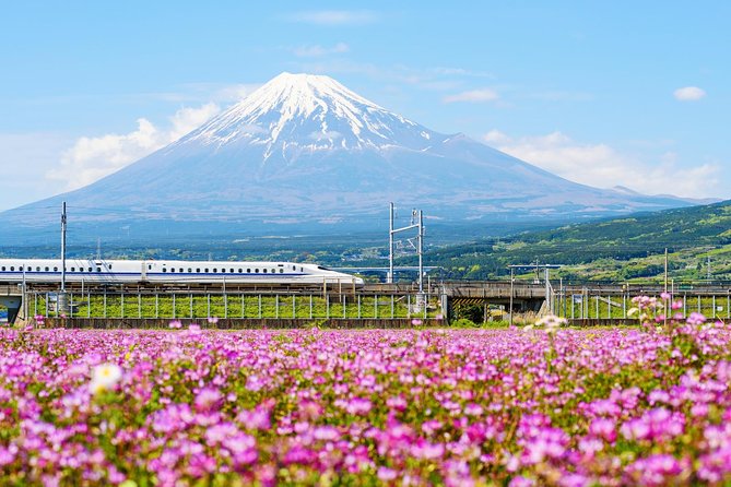 Bullet Train and Mt. Fuji Famous Food Tour - Meeting and Pickup