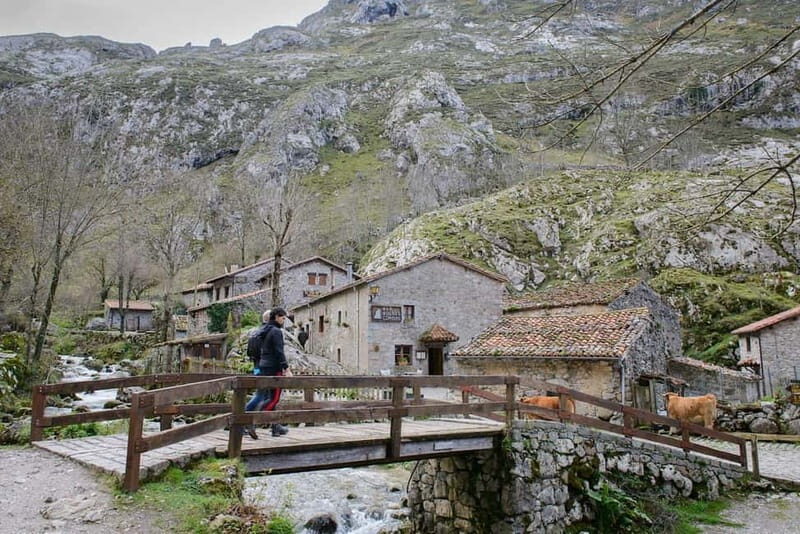 Bulnes: Excursion with funicular and Cabrales cheese cave in Picos de Europa. - An In-Depth Look at the Experience