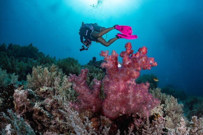 Bunaken Island three-point snorkeling includes lunch and shuttle - FAQ