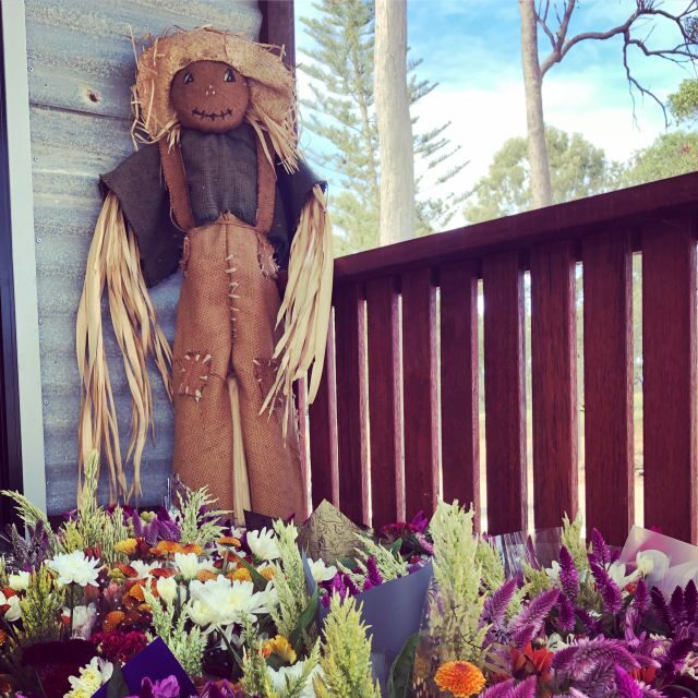Bundaberg: Family-Friendly Entry Ticket to Splitters Farm - Final Thoughts