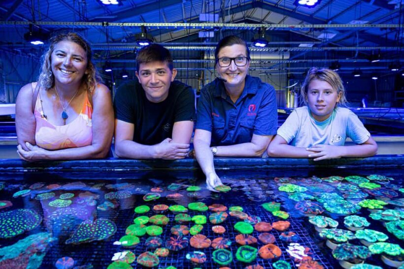 Bundaberg: Monsoon Aquatics Coral Farm Guided Tour - Key Points