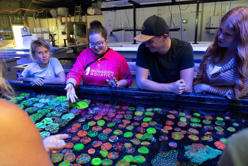 Bundaberg: Monsoon Aquatics Coral Farm Guided Tour - Authentic Perspectives from Visitors