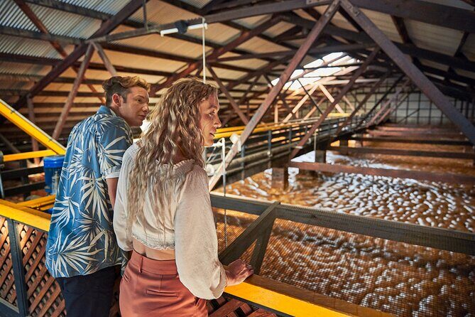 Bundaberg Rum Behind The Scenes Distillery Tour And Museum Experience - What to Expect on the Tour