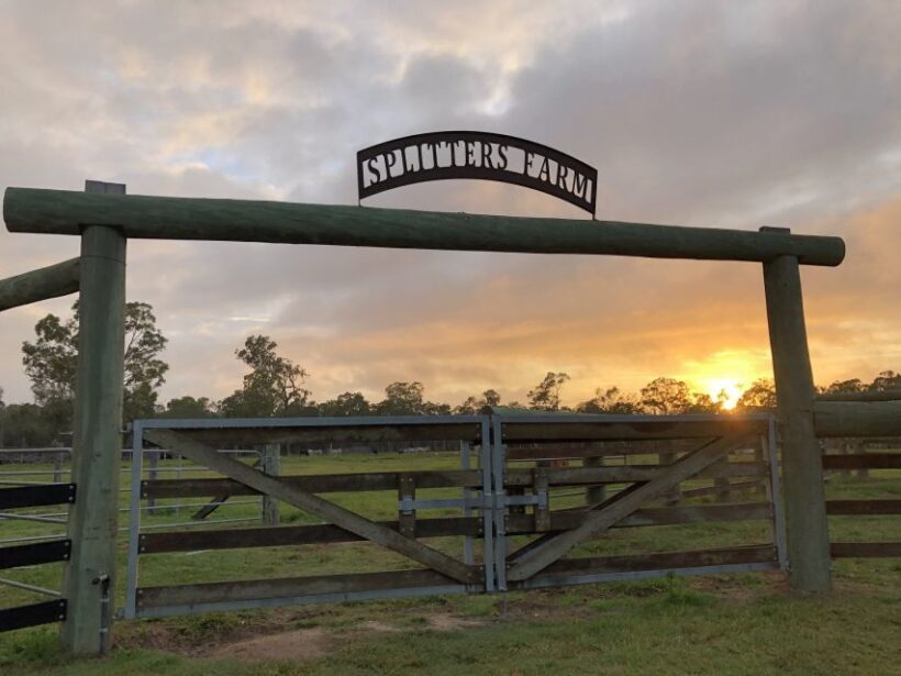 Bundaberg: Splitters Farm Guided Tour - Key Points