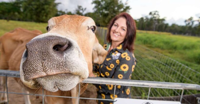 Bundaberg: Splitters Farm Guided Tour - What to Expect from Your Splitters Farm Guided Tour