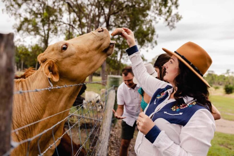 Bundaberg: Splitters Farm Guided Tour - Final Thoughts