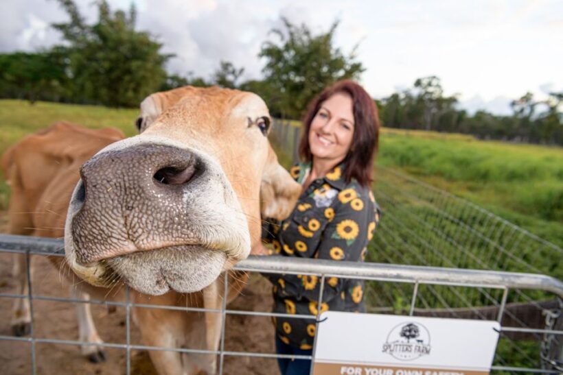 Bundaberg: Splitters Farm Guided Tour - FAQ