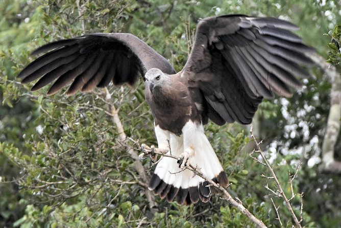 Bundala Birding Paradise - All Inclusive Tour - What’s Included and What’s Not