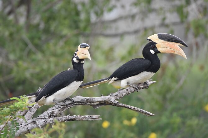 Bundala Birding Paradise - All Inclusive Tour - Who Should Consider This Tour?