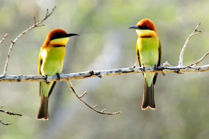 Bundala Birding Paradise - All Inclusive Tour - FAQ