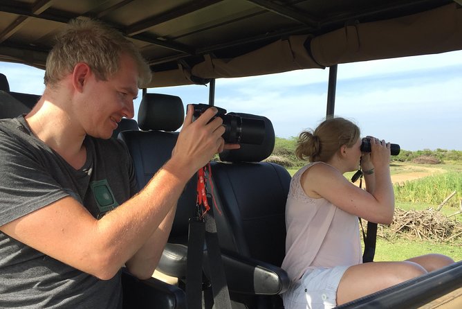 Bundala Birds Safari by Jeeps - Who Should Consider This Tour?