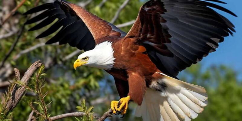 Bundala Half Day Safari PRIVATE Tours (Morning & Afternoon) - How the Itinerary Unfolds