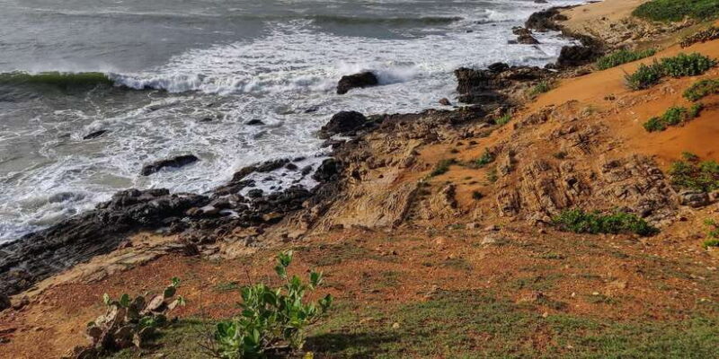 Bundala National Park: 3-Hour Morning or Evening Safari - Who Will Love This Experience?